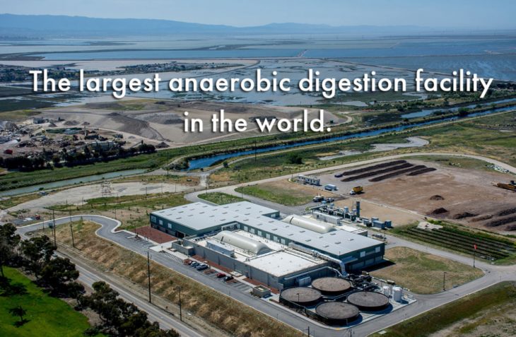 Zanker Recycling Center – Service Science
